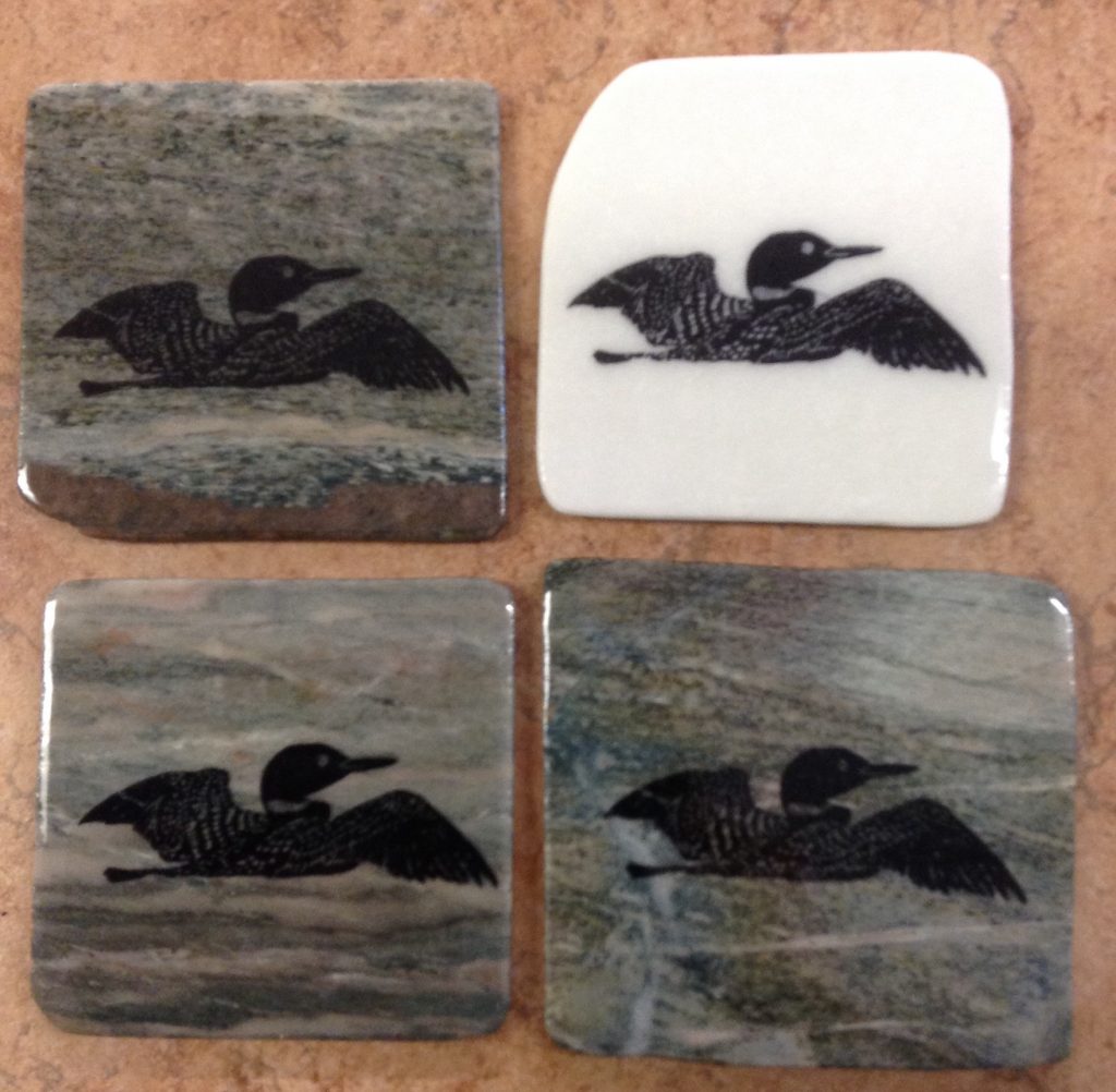 Dried meal worms – The Avant-Garden Shop