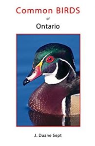 Common Birds of Ontario – The Avant-Garden Shop
