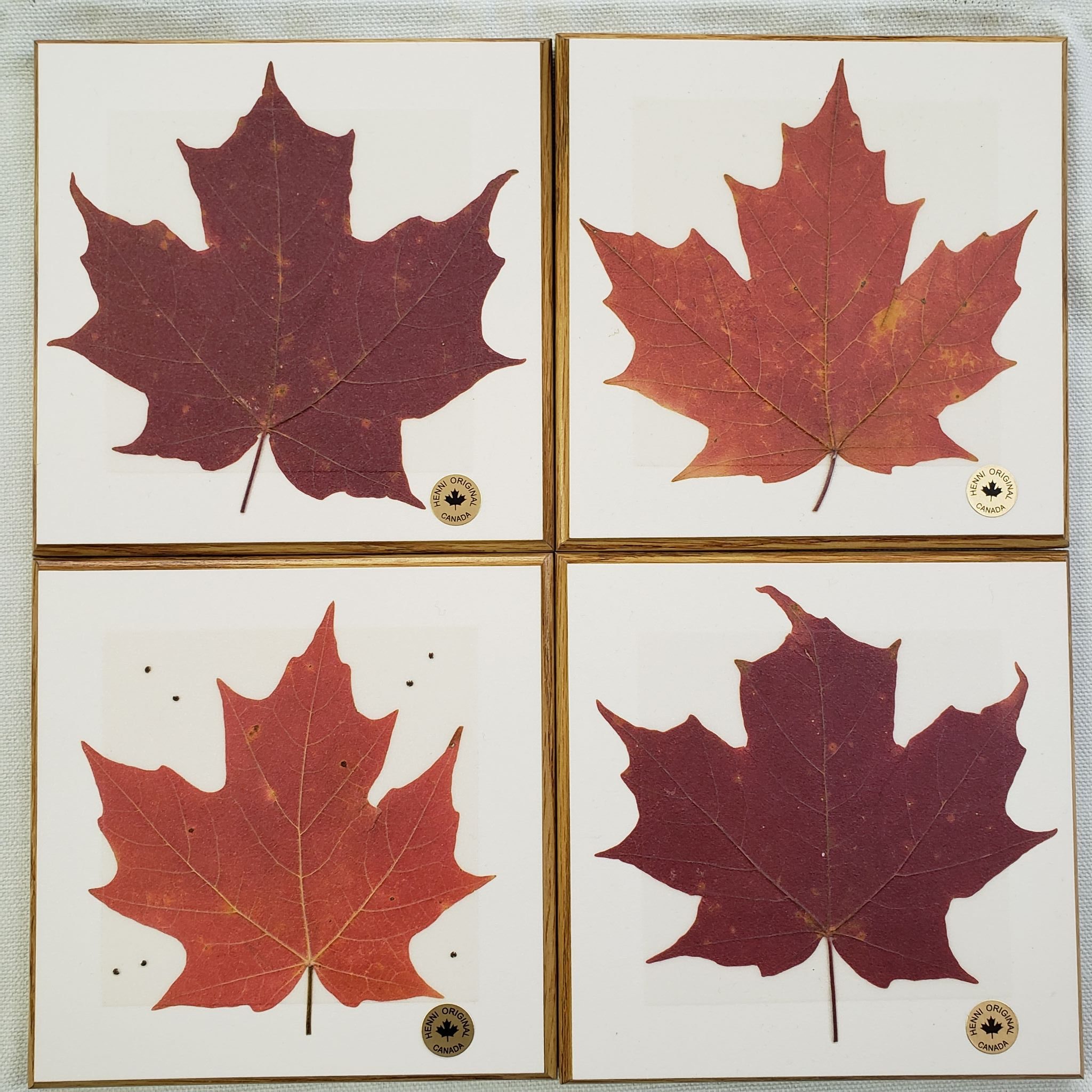 Wooden Wall Plaque – Maple Leaf – The Avant-Garden Shop