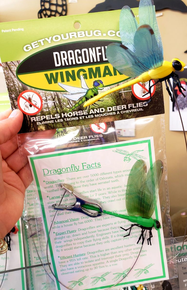 Dragonfly Wingman – The Avant-Garden Shop